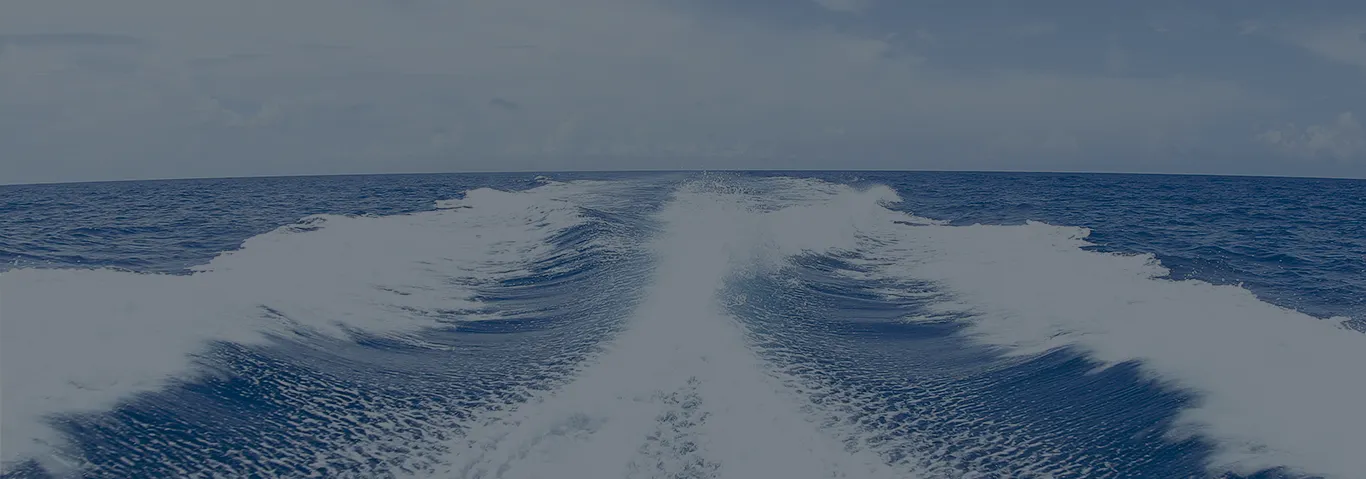 Your industry partner - Intercruises - Shoreside & Port Services